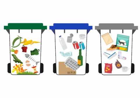 Collection Systems, Standardized Container Colors, and Labeling ...