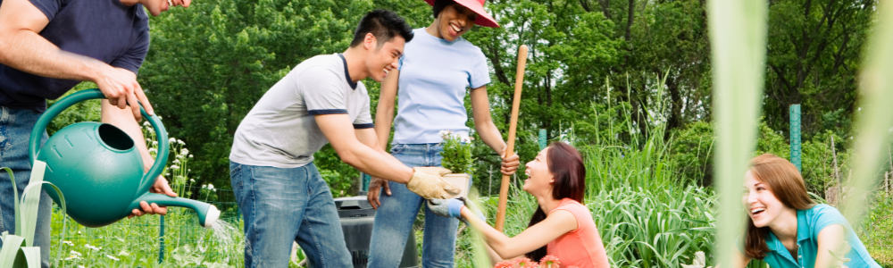 Community-scale Composting - CalRecycle Home Page