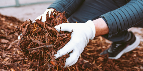 Compost and Mulch - CalRecycle Home Page