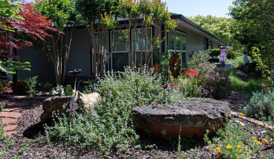 Sustainable Landscaping - CalRecycle Home Page